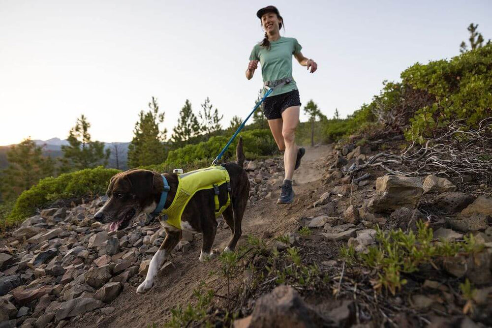 Running & Walking with your Dog - All the Ulti-Mutt Ruffwear Dog Gear ...